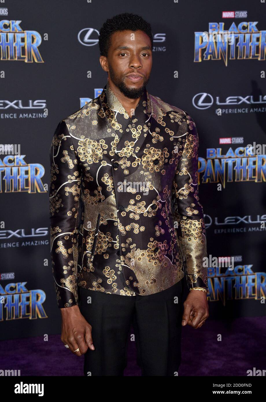 Chadwick Boseman attends the premiere of Disney and Marvel's 'Black ...