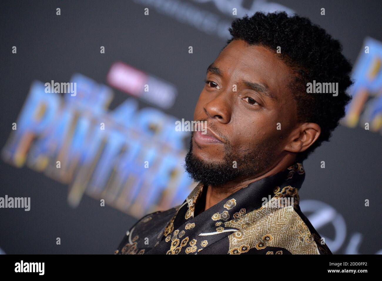 Chadwick Boseman attends the premiere of Disney and Marvel's 'Black ...