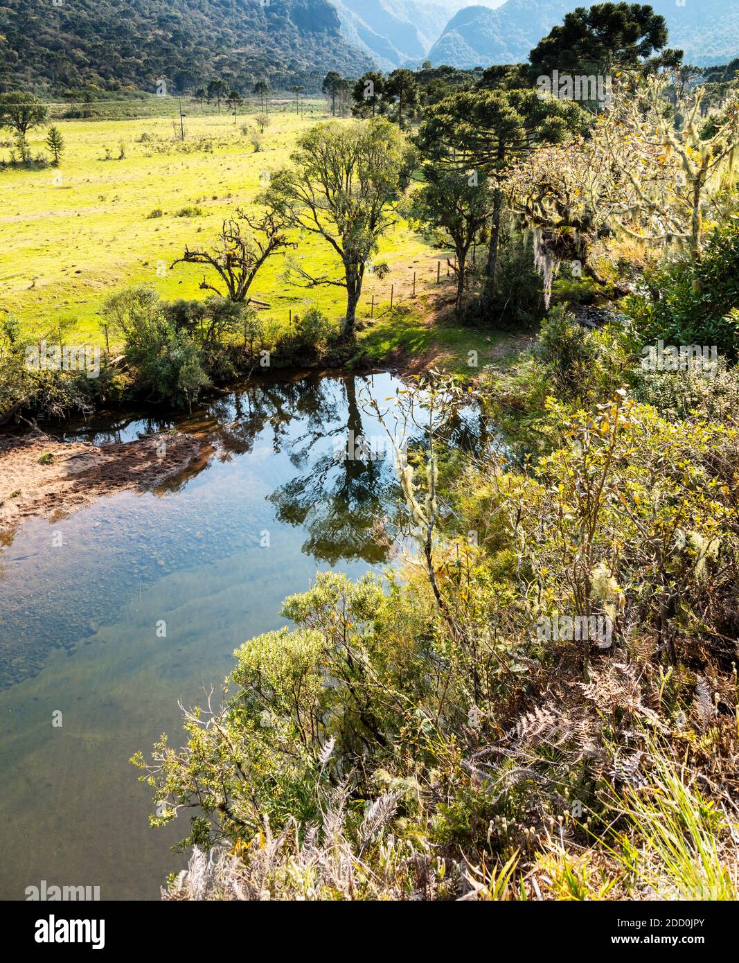 A beautiful high angle shot of a river in Brazil Stock Photo - Alamy