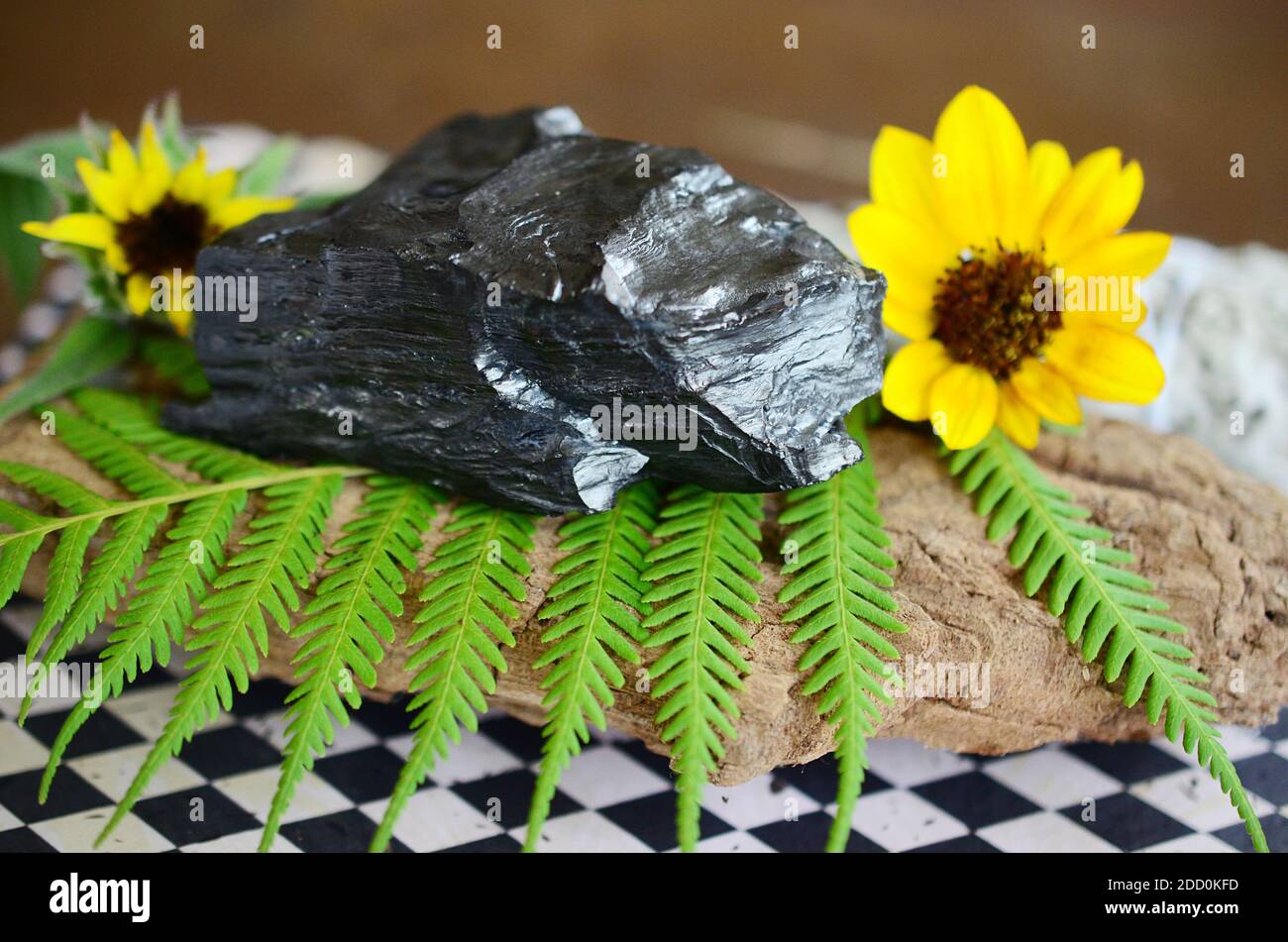 Large Rough Jet. Black healing crystal. Solid Jet crystal from Russia ...