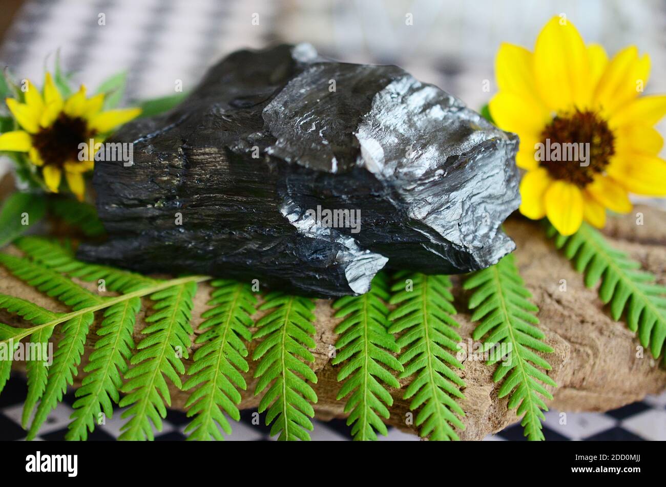 Large Rough Jet. Black healing crystal. Solid Jet crystal from Russia ...