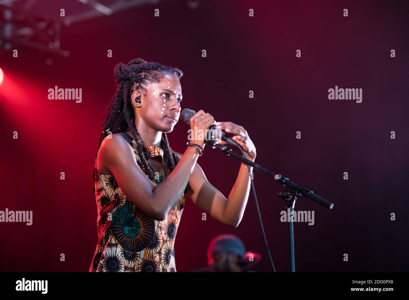File photo of Jah9 And The Dub Treatment in concert at Paleo Festival ...