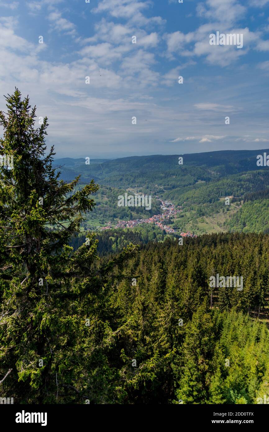 Hiking in different places through the Thuringian Forest - Thüringer ...