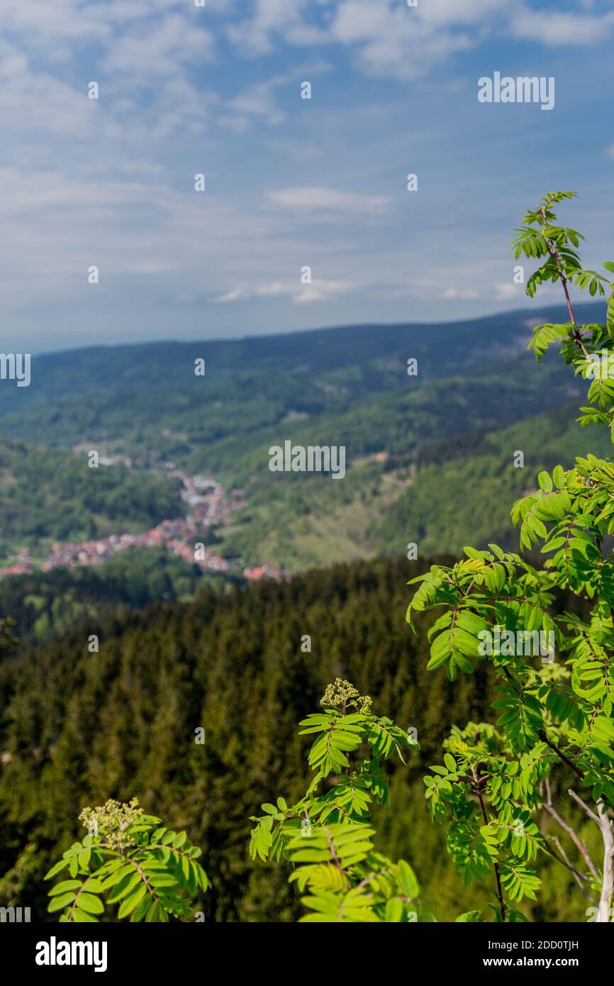 Hiking in different places through the Thuringian Forest - Thüringer ...