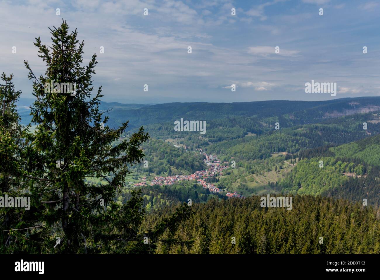 Hiking in different places through the Thuringian Forest - Thüringer ...