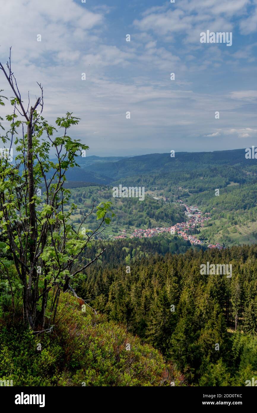 Hiking in different places through the Thuringian Forest - Thüringer ...