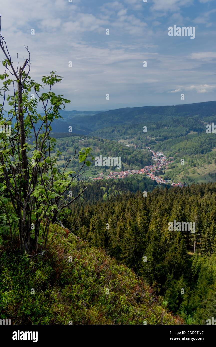 Hiking in different places through the Thuringian Forest - Thüringer ...