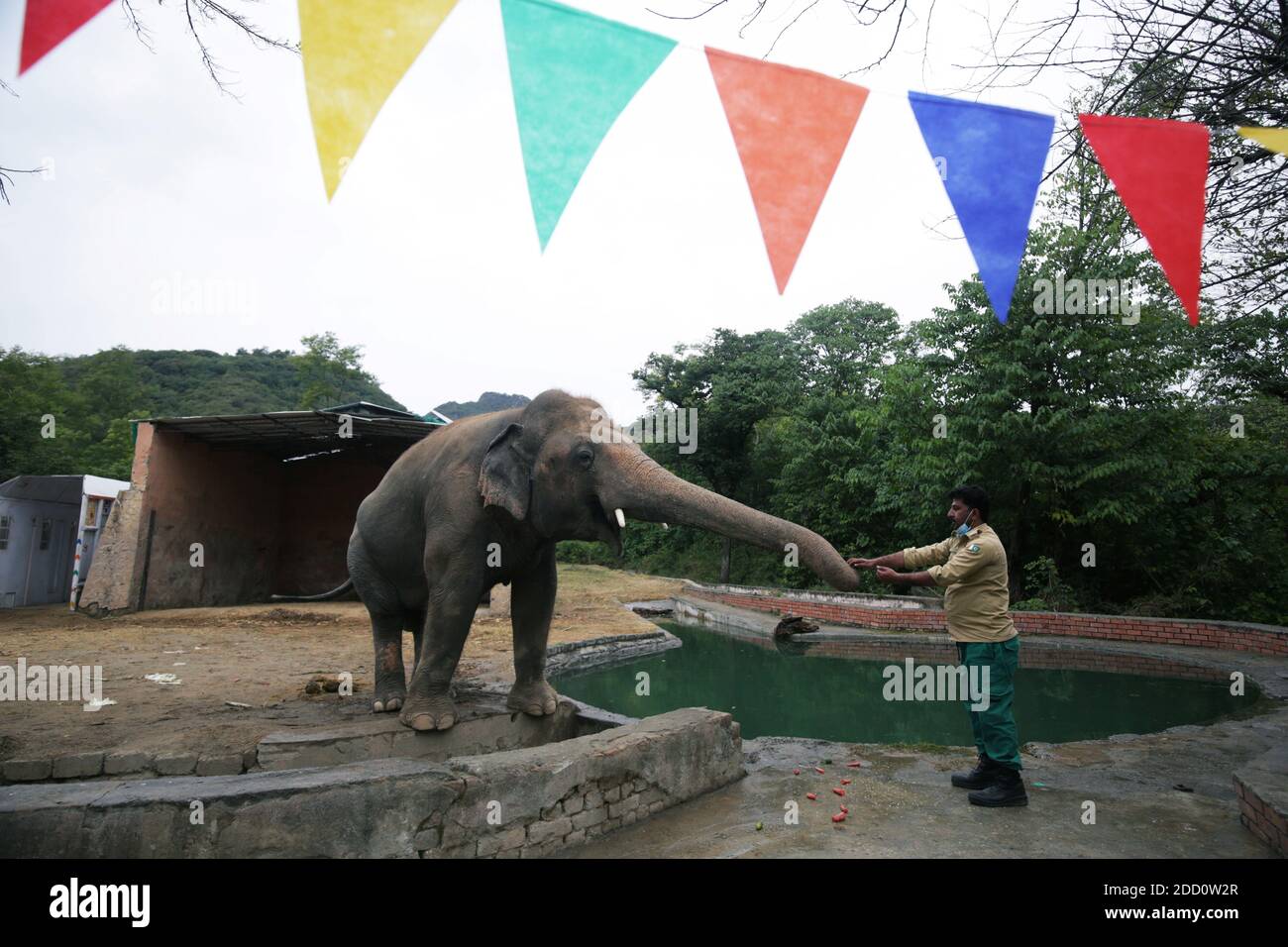 Marghazar zoo hi-res stock photography and images - Alamy