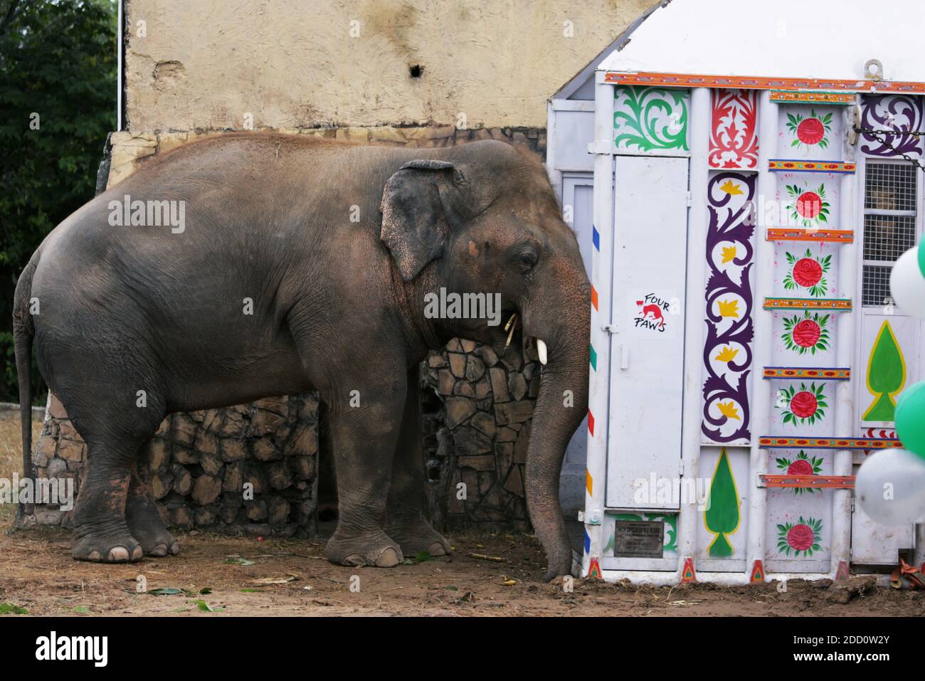Marghazar zoo hi-res stock photography and images - Alamy