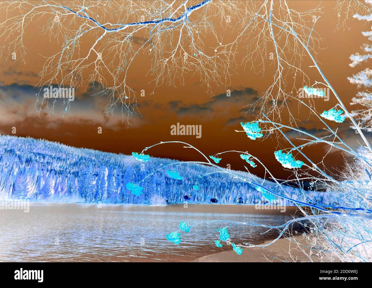 River bank scene with overhanging tree in the foreground and woodland ...