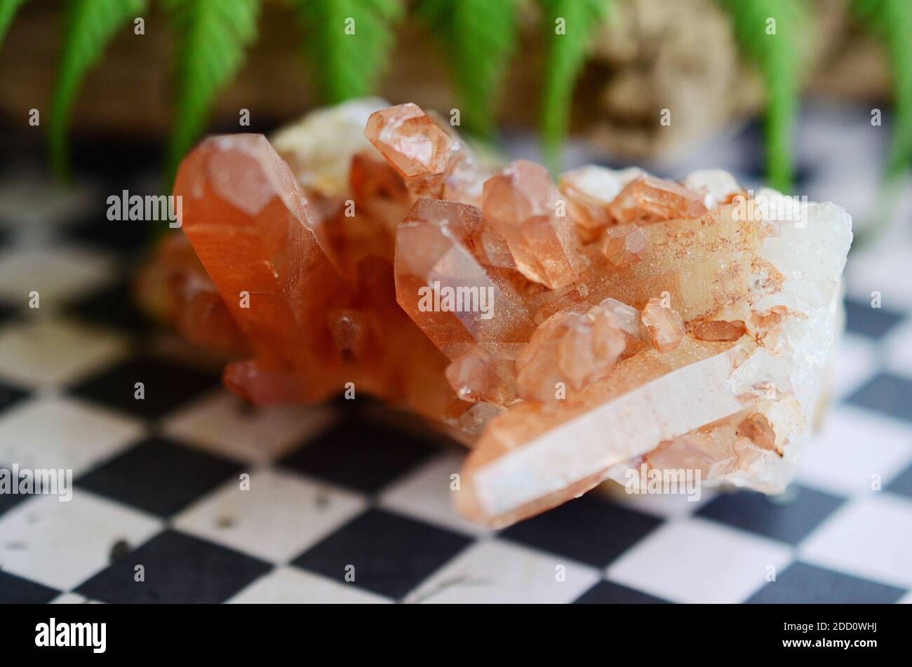 Beautiful quartz cluster, tangerine quartz. Orange healing crystal on ...