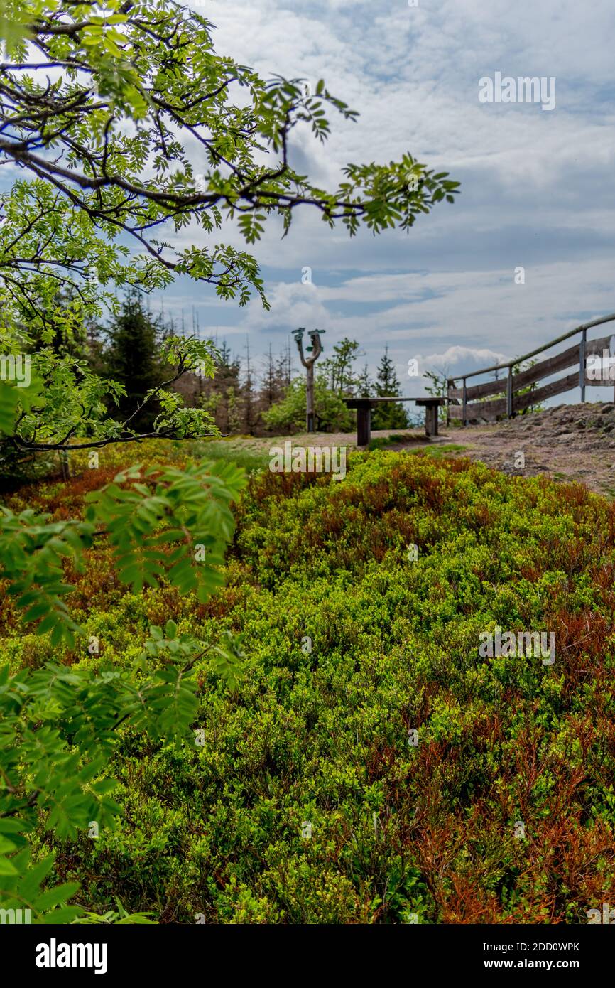 Hiking in different places through the Thuringian Forest - Thüringer ...