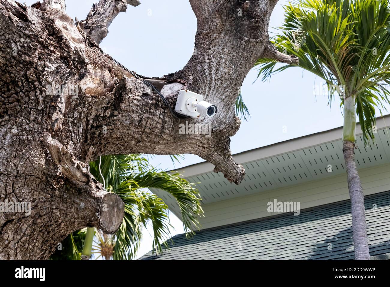 Hanging surveillance camera hi-res stock photography and images - Alamy