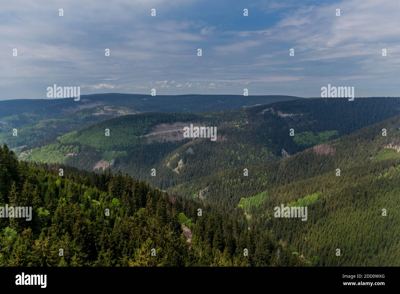 Hiking in different places through the Thuringian Forest - Thüringer ...