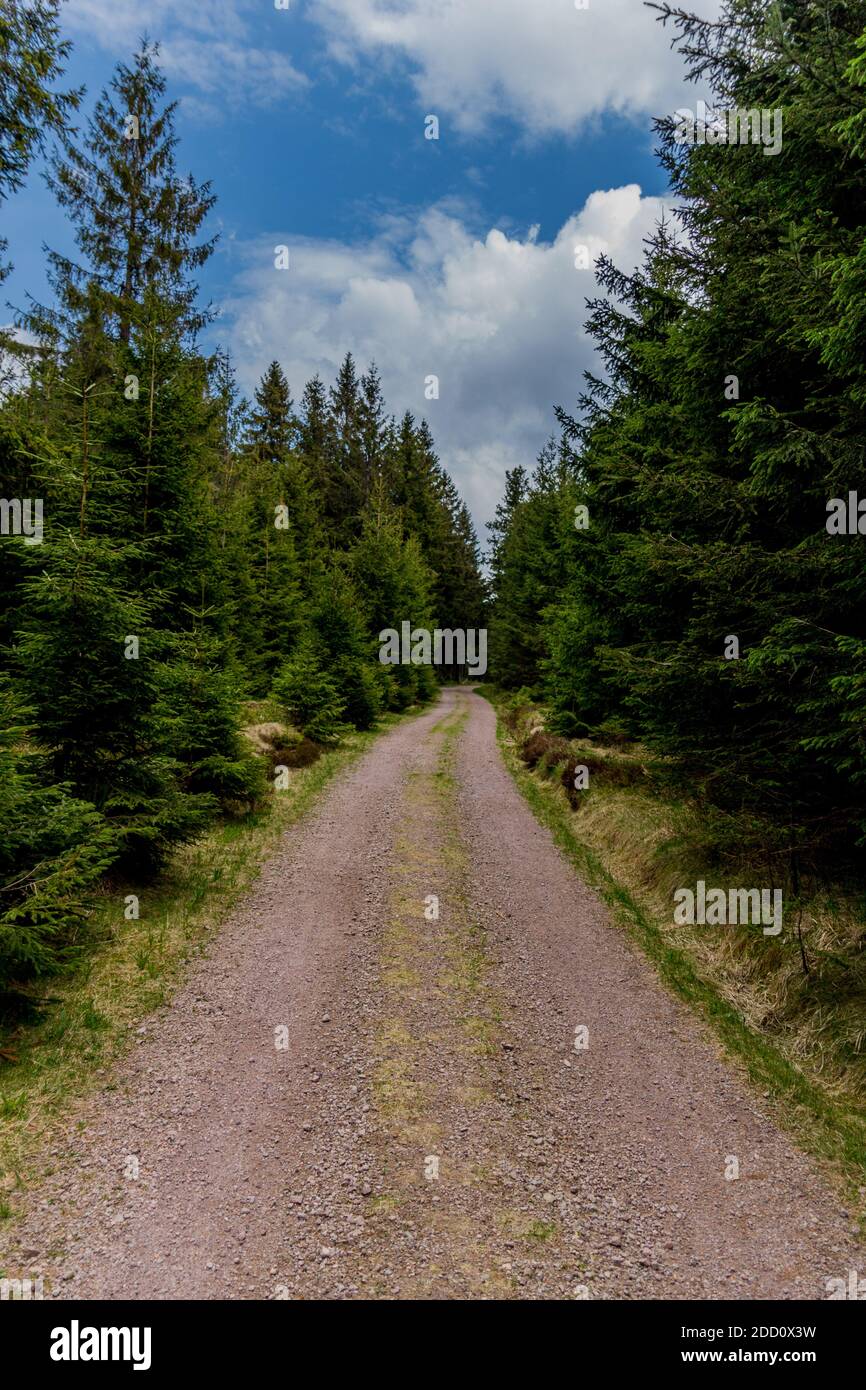 Hiking in different places through the Thuringian Forest - Thüringer ...