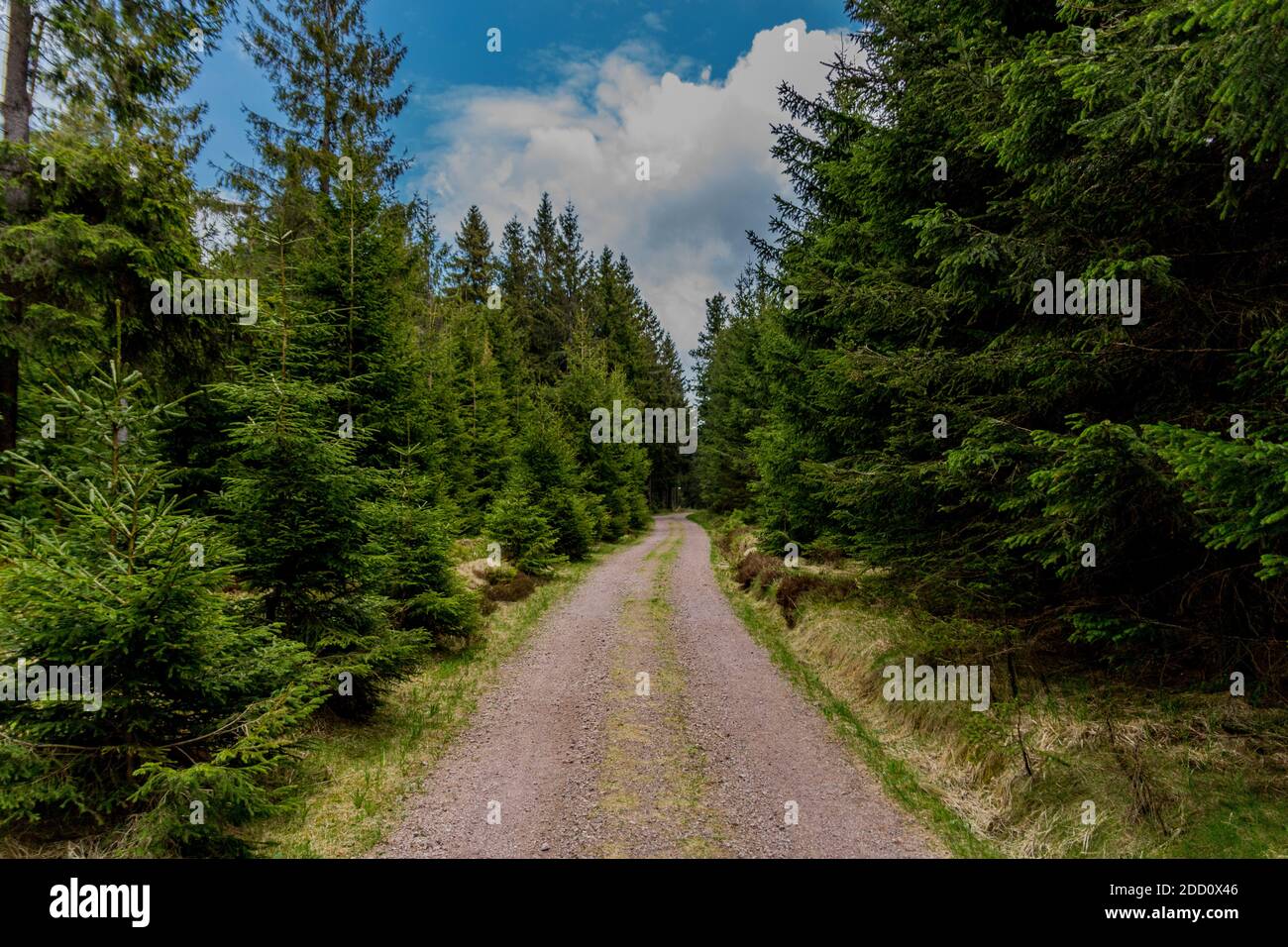 Hiking in different places through the Thuringian Forest - Thüringer ...