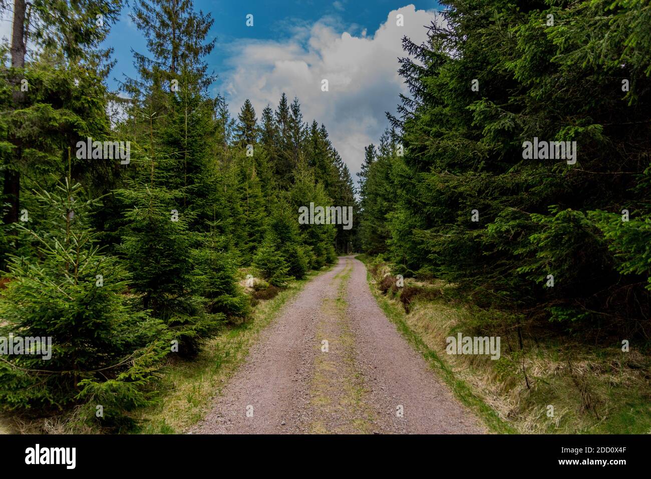 Hiking in different places through the Thuringian Forest - Thüringer ...