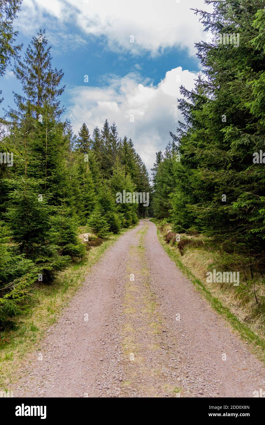 Hiking in different places through the Thuringian Forest - Thüringer ...