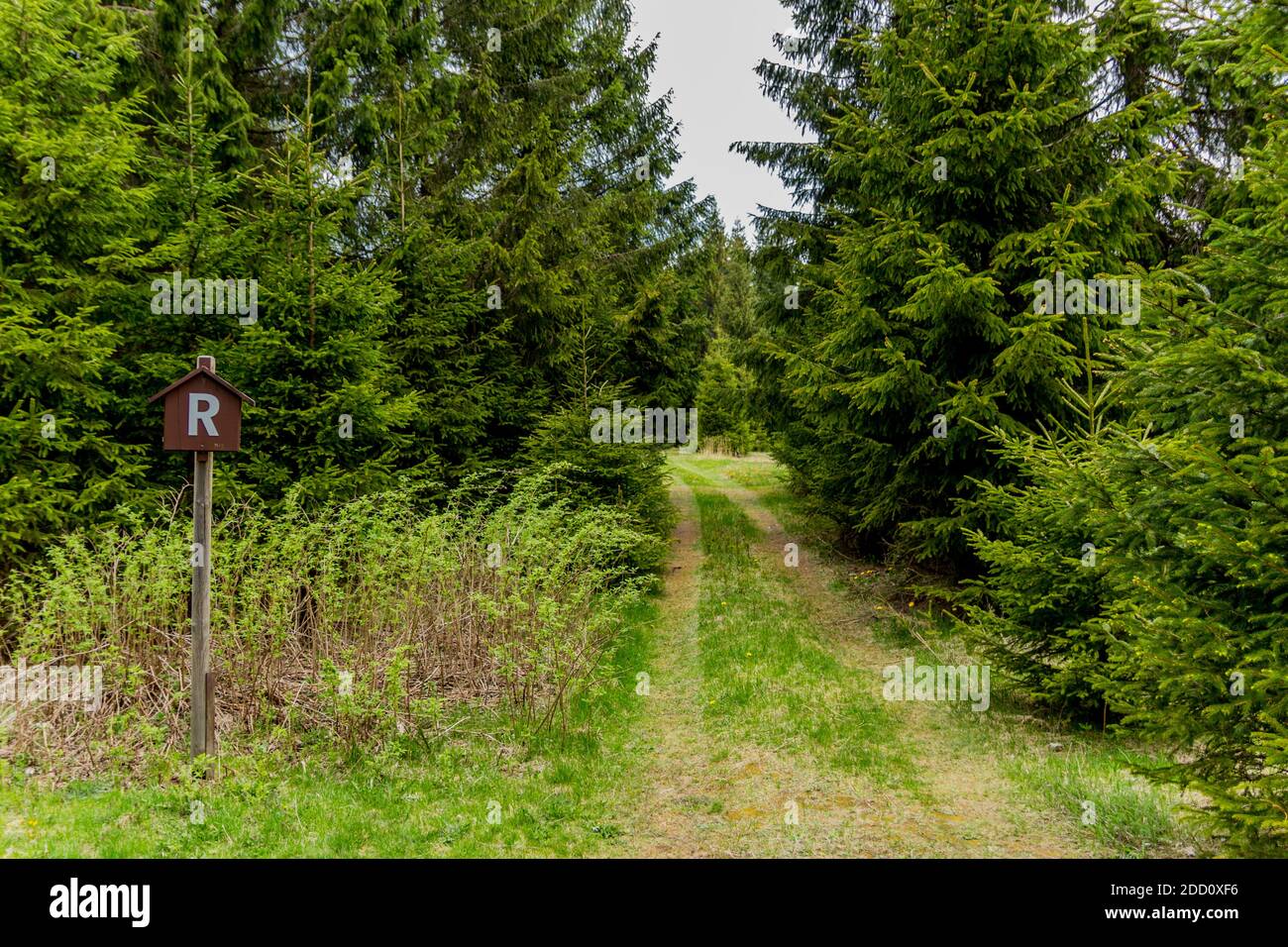 Hiking in different places through the Thuringian Forest - Thüringer ...
