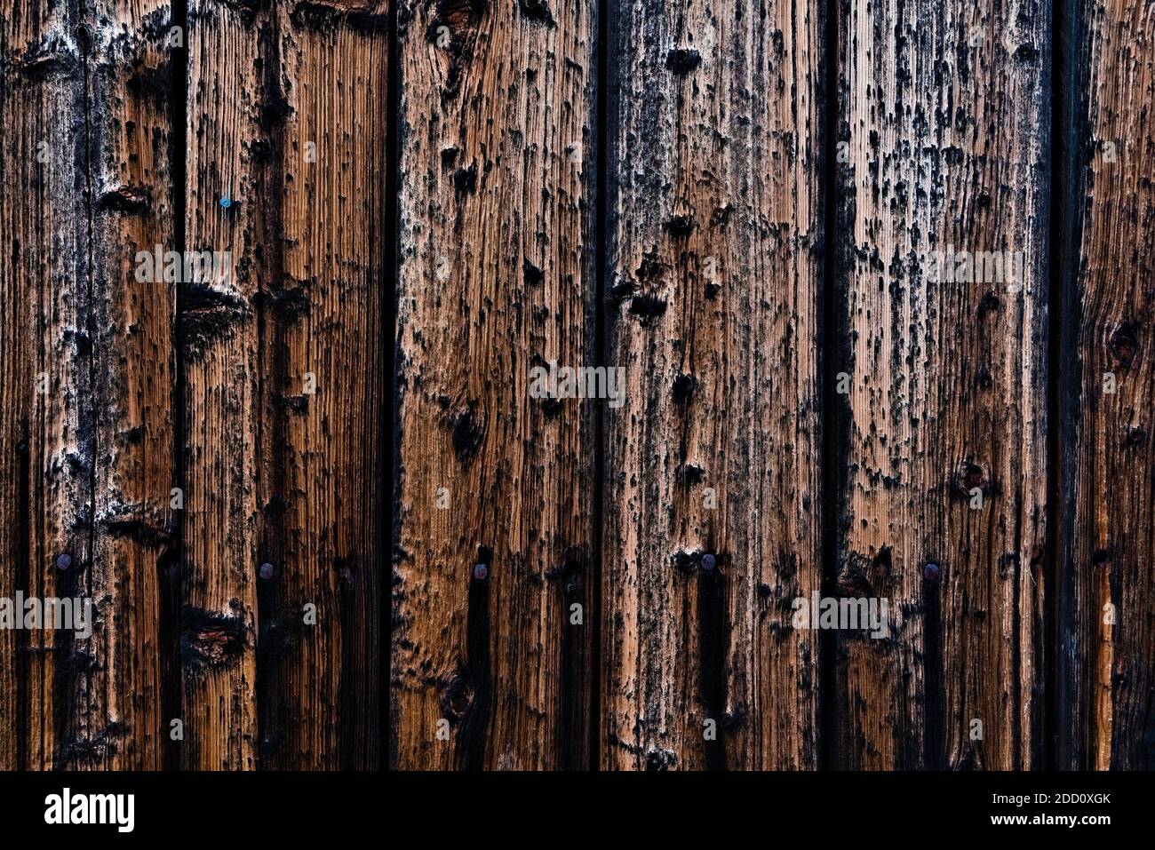 Wood plank wall with burnt spots and light brown varnish texture Stock ...