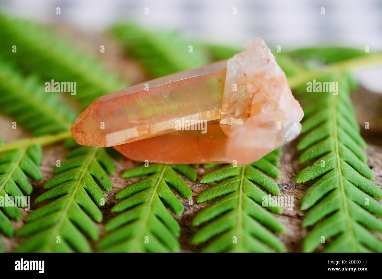 Orange gemstones hi-res stock photography and images - Alamy