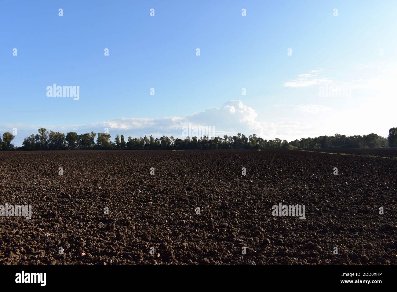 Nicely plowed italian soil near Rome. Mediterranean soil where italian ...
