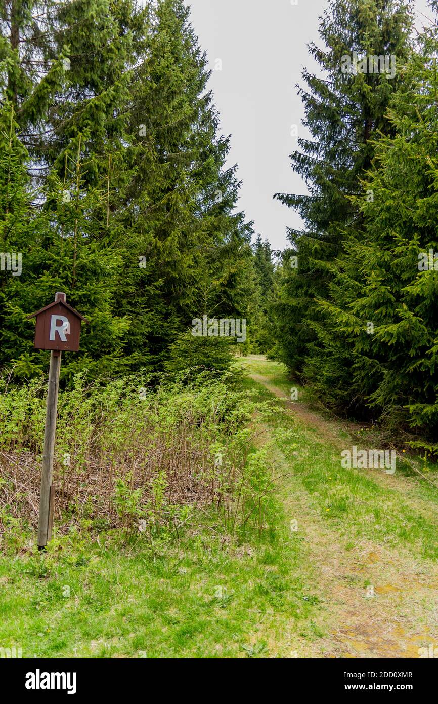 Hiking in different places through the Thuringian Forest - Thüringer ...