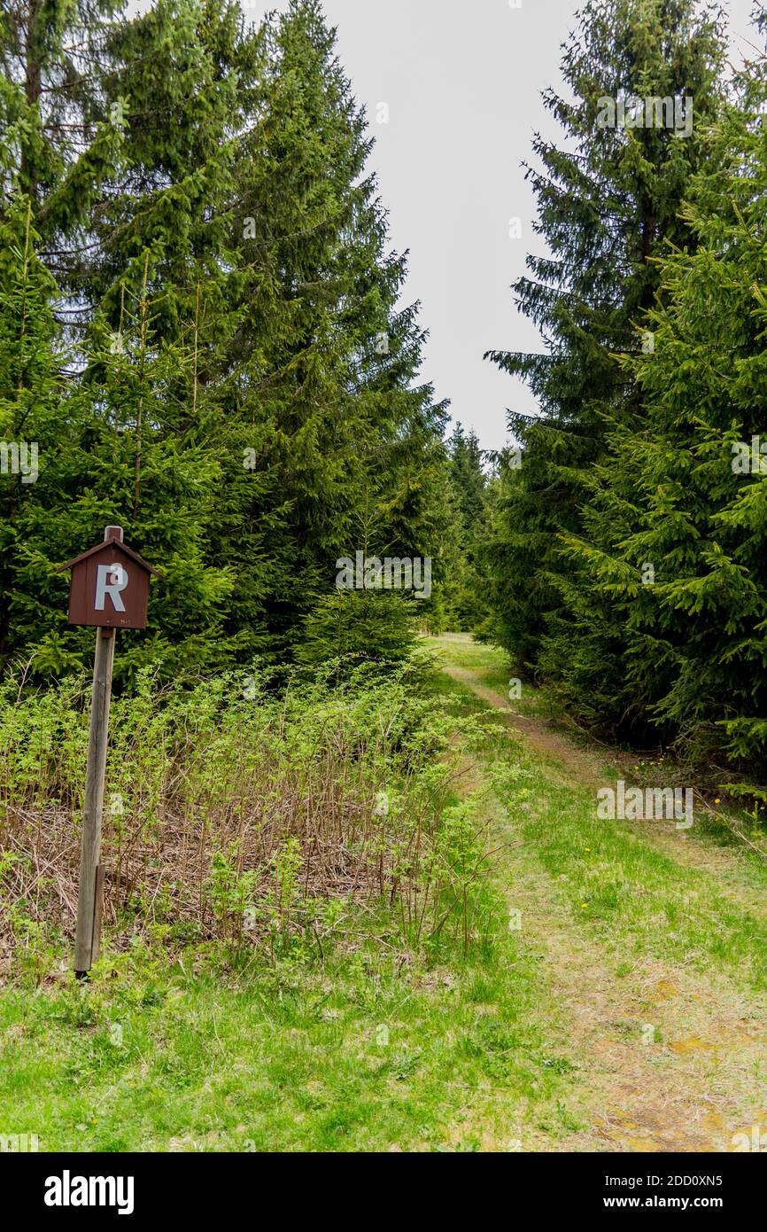 Hiking in different places through the Thuringian Forest - Thüringer ...