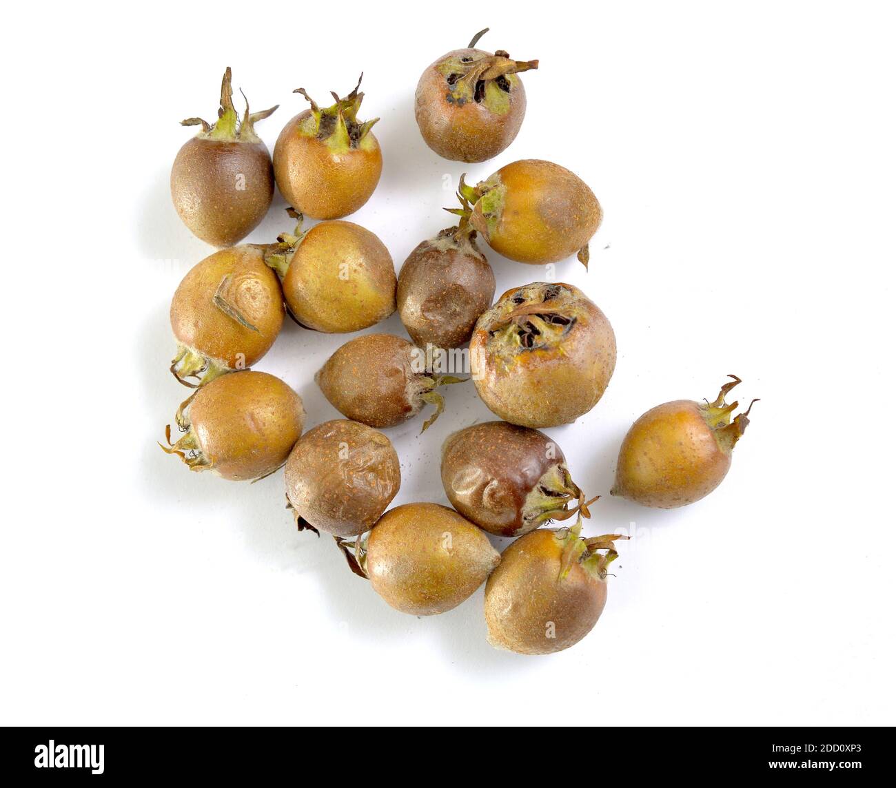 Healthy medlar fruits in autumn close up image Stock Photo - Alamy