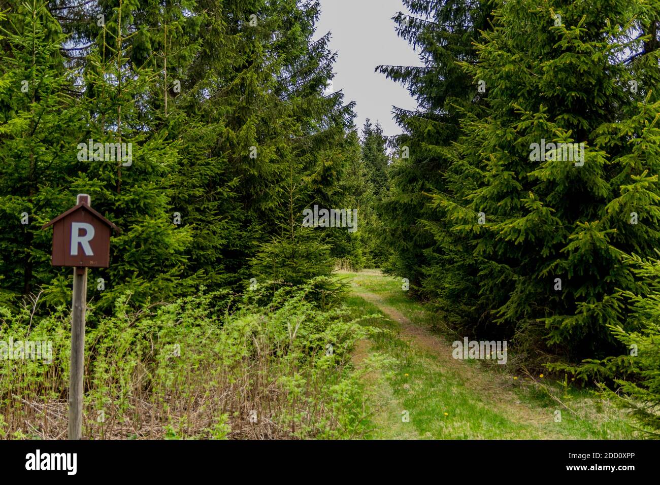 Hiking in different places through the Thuringian Forest - Thüringer ...