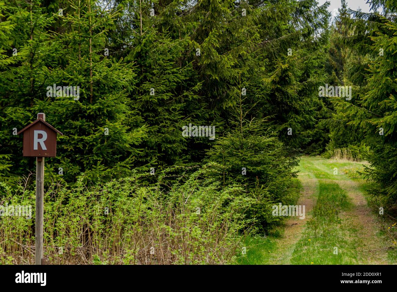 Hiking in different places through the Thuringian Forest - Thüringer ...