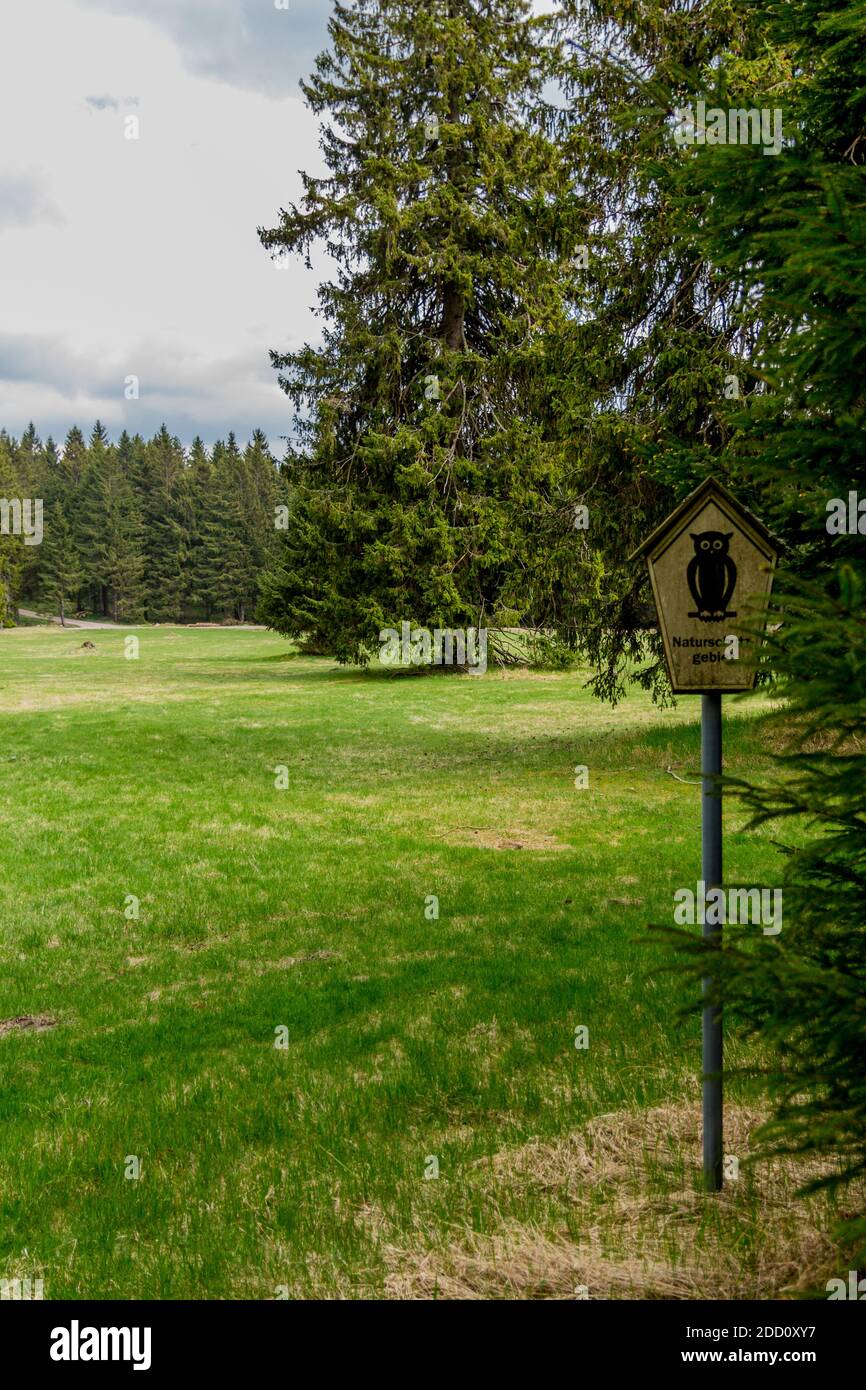 Hiking in different places through the Thuringian Forest - Thüringer ...