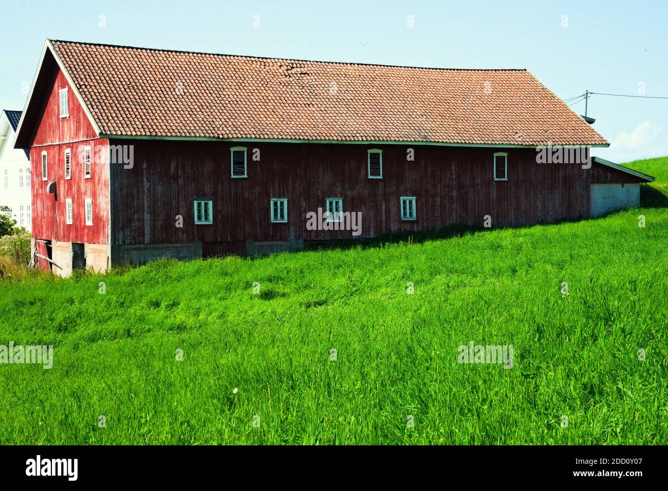 Old and worn red barn with lush green pasture in the foreground Stock ...