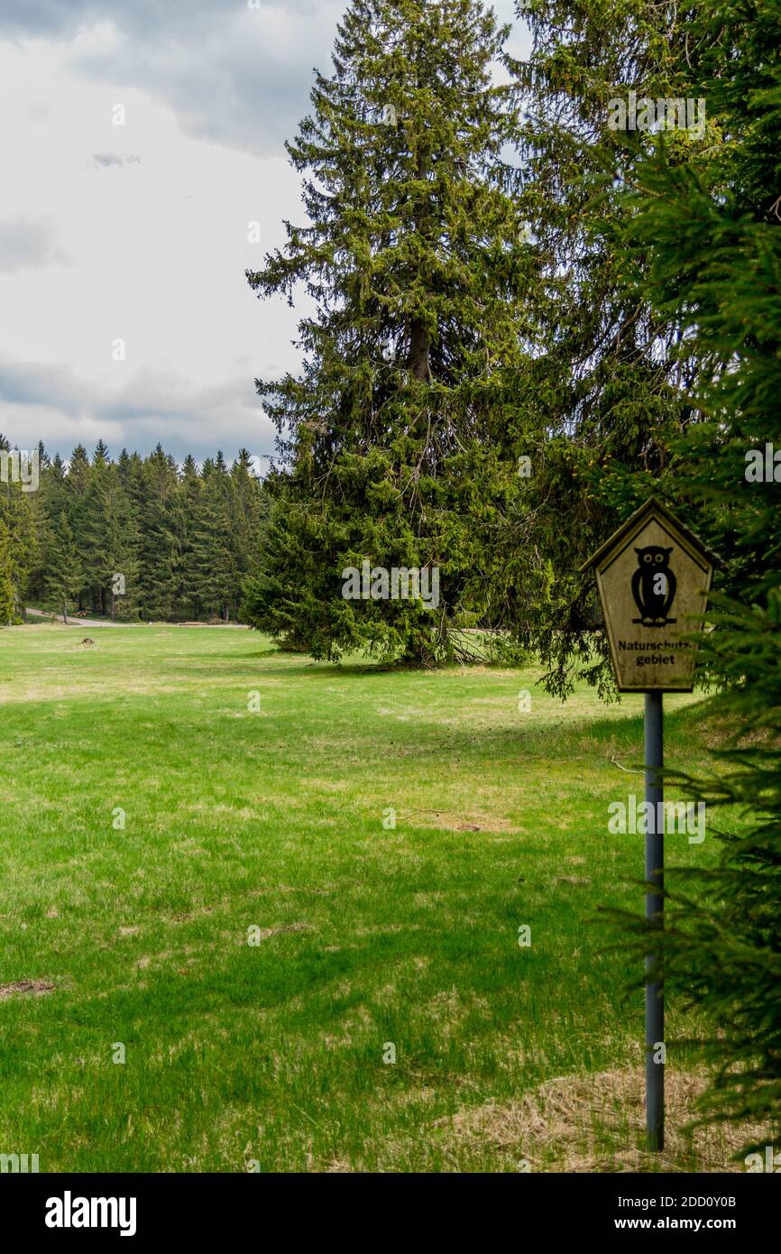 Hiking in different places through the Thuringian Forest - Thüringer ...