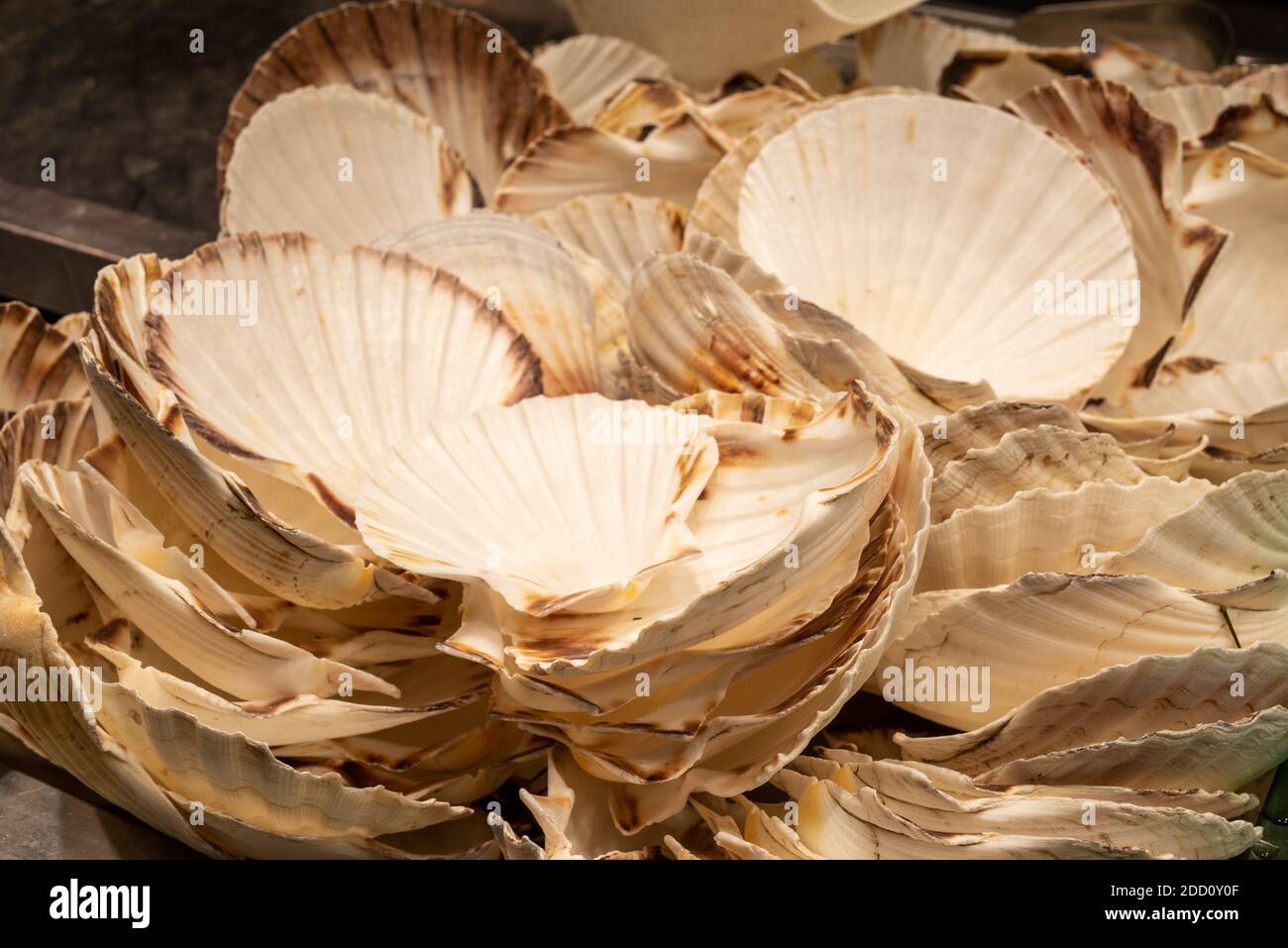 Close-up seafood shells shellfish at the fish market Stock Photo - Alamy