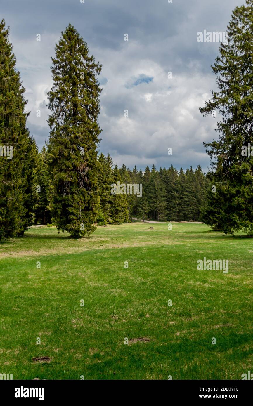 Hiking in different places through the Thuringian Forest - Thüringer ...