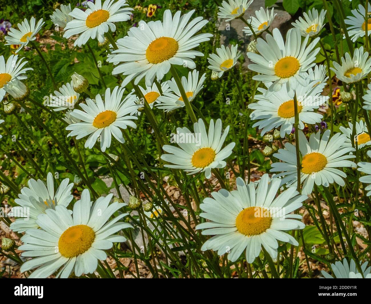 Beautiful eye catching scenery hi-res stock photography and images - Alamy