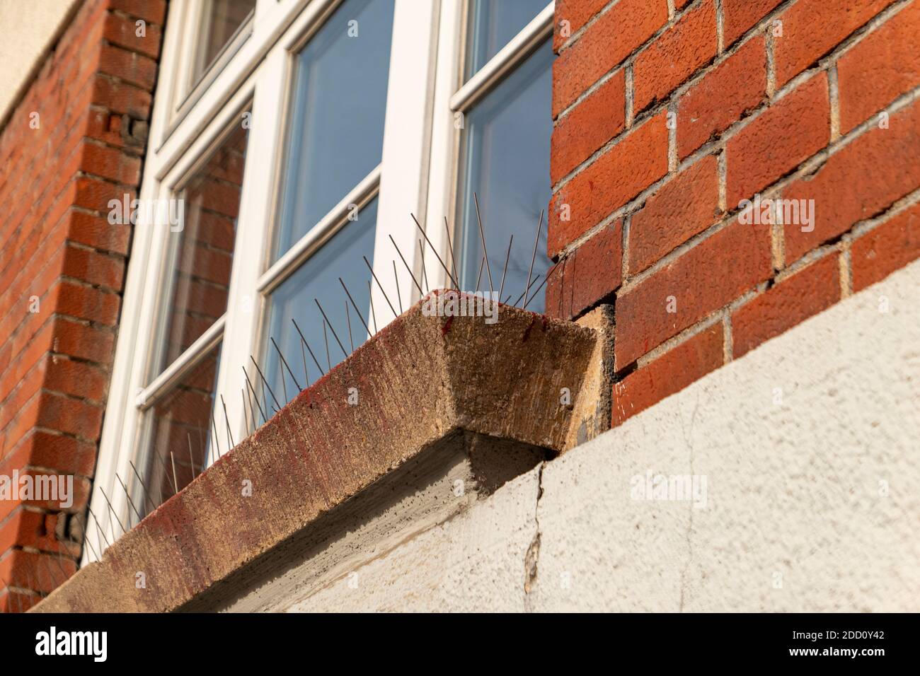Pigeon defence at a window with brick wall in the city Stock Photo - Alamy