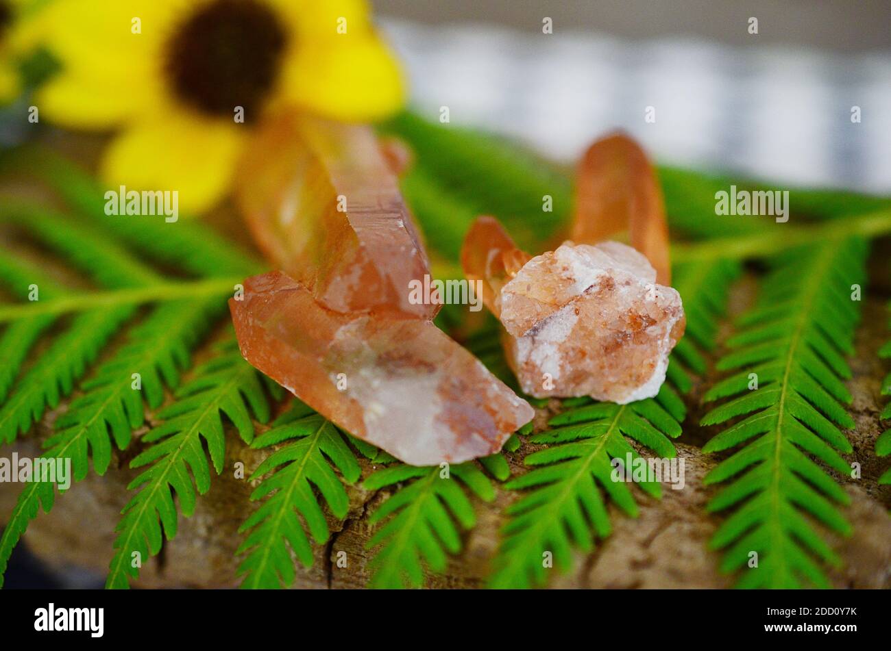 Orange gemstones hi-res stock photography and images - Alamy