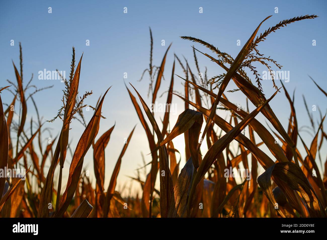 Rural French travel scenes Stock Photo - Alamy