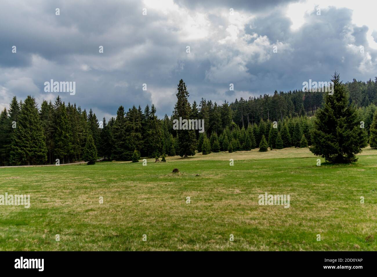 Hiking in different places through the Thuringian Forest - Thüringer ...