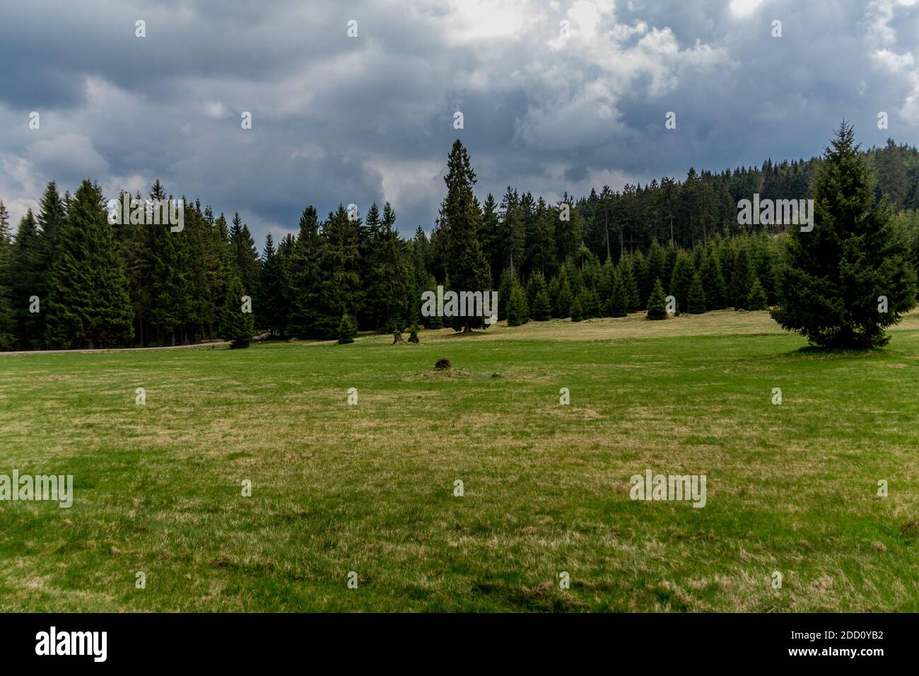 Hiking in different places through the Thuringian Forest - Thüringer ...