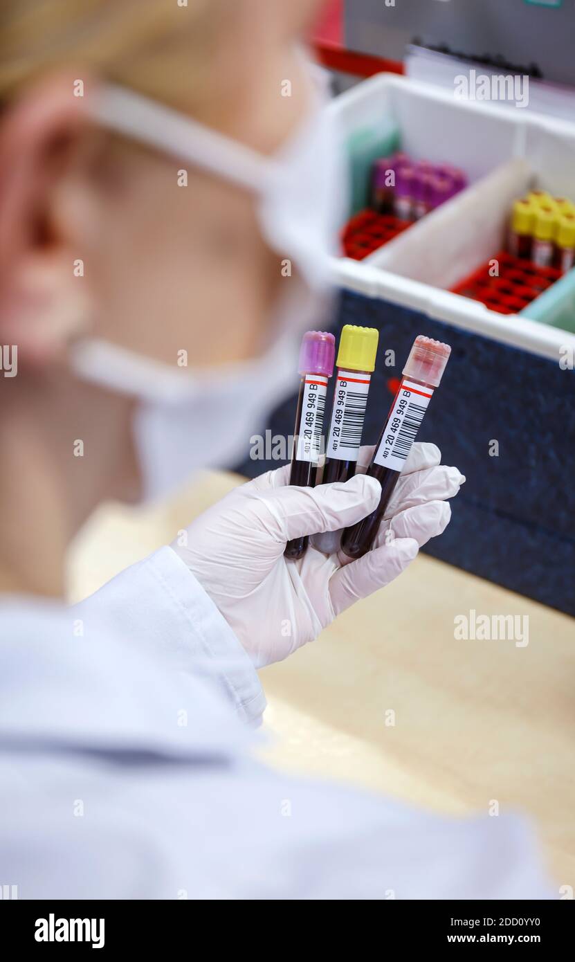 Blood supply of face hi-res stock photography and images - Alamy