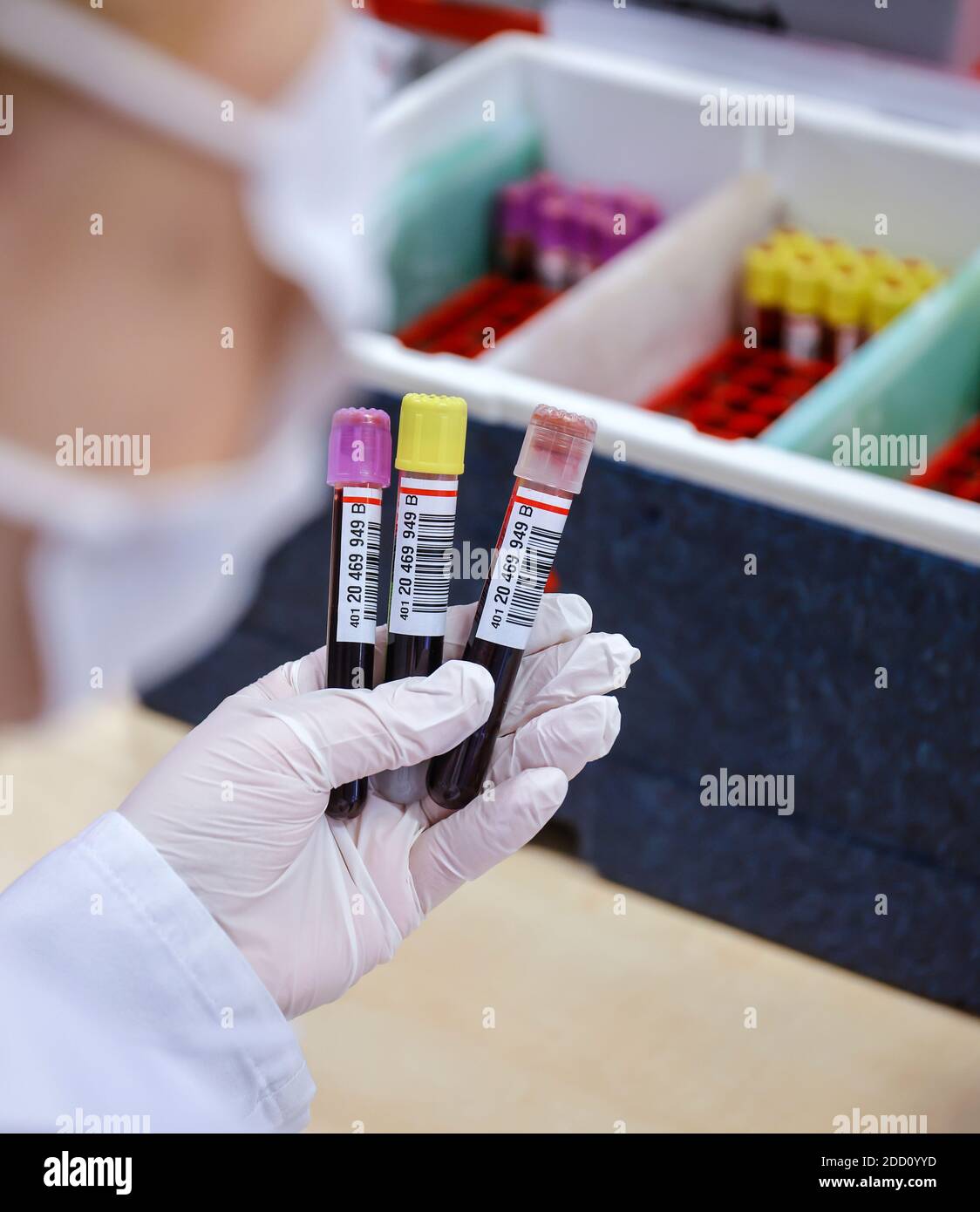 Blood collection system hi-res stock photography and images - Alamy