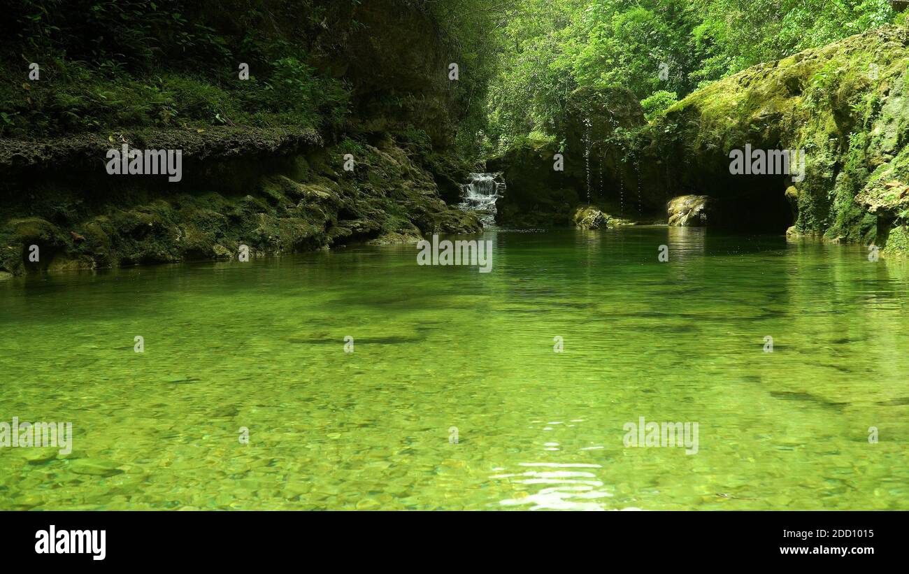 River in tropical green jungle. Bohol, Philippines. Danicop Ticugan ...