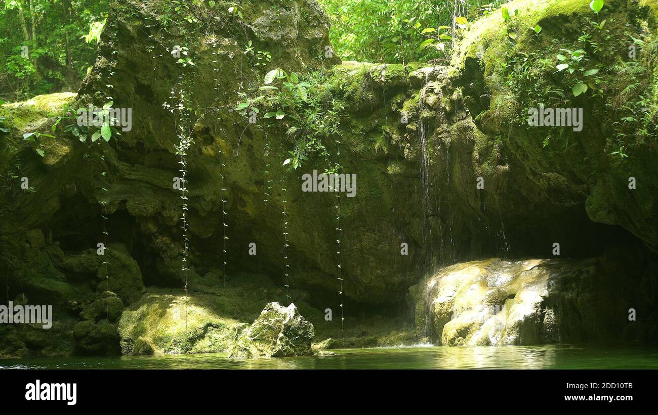 Beautiful natural scenery of river in tropical green forest. Bohol ...