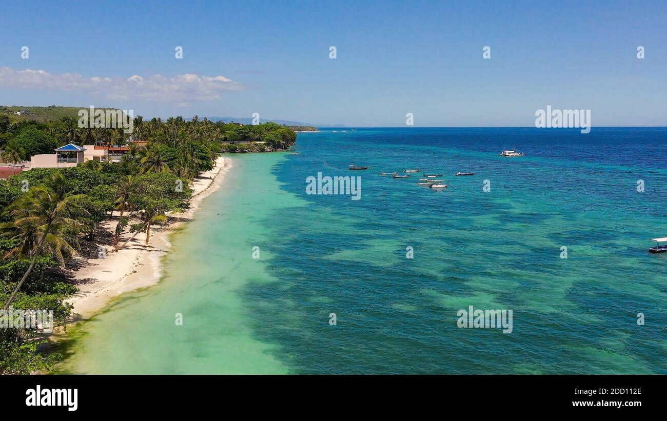 Beautiful tropical beach with white sand, palm trees, turquoise ocean ...
