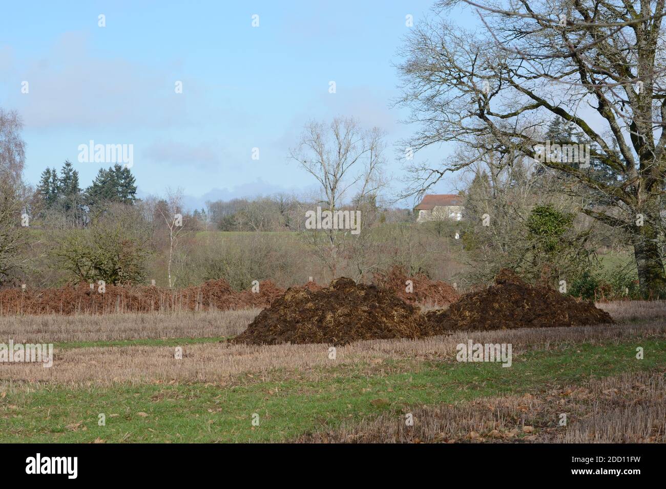 Manure Pile High Resolution Stock Photography and Images - Alamy