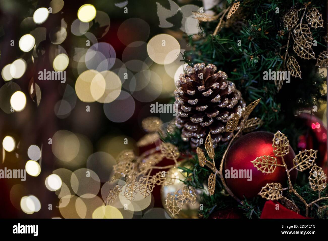 Eve Cone High Resolution Stock Photography and Images - Alamy