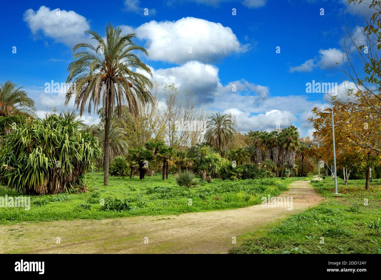 Path in a beautiful park. Beautiful day for relaxing Stock Photo - Alamy